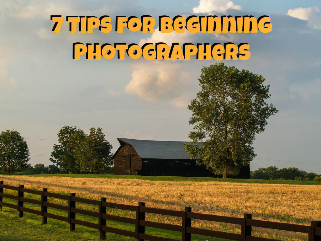 7 Tips For Beginning Photographers - You CAN Do Photography